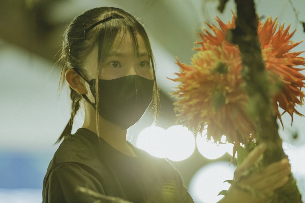 花いけだより｜高校生花いけバトル